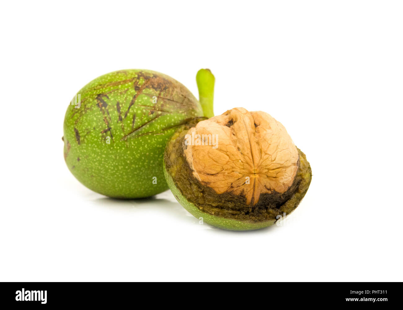 walnut in green peel isolated on white background Stock Photo - Alamy