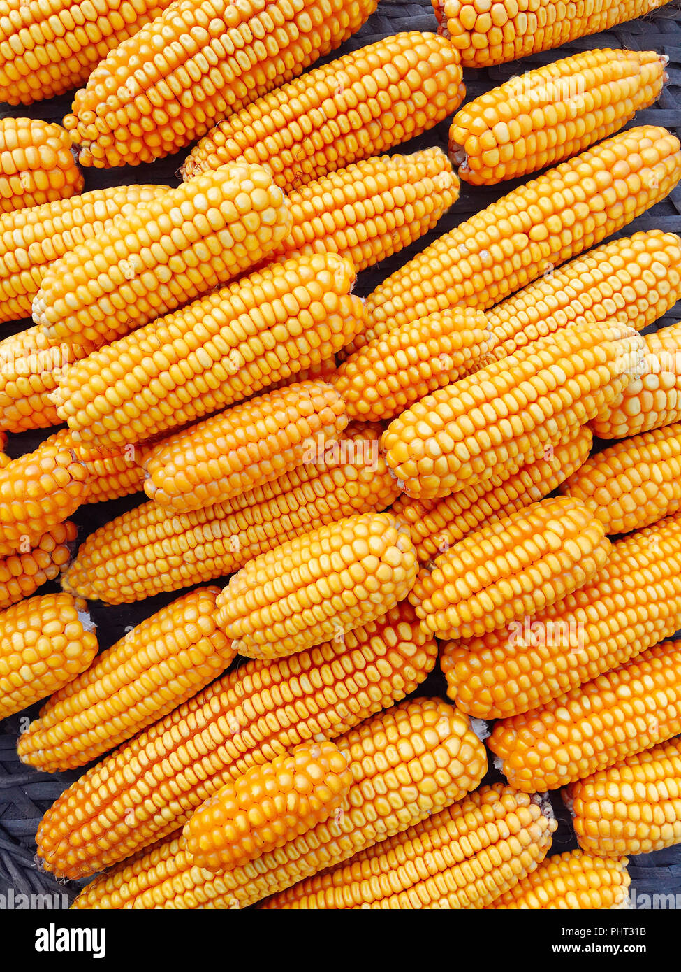 Yellow fresh and sweet corn for food processing Stock Photo - Alamy