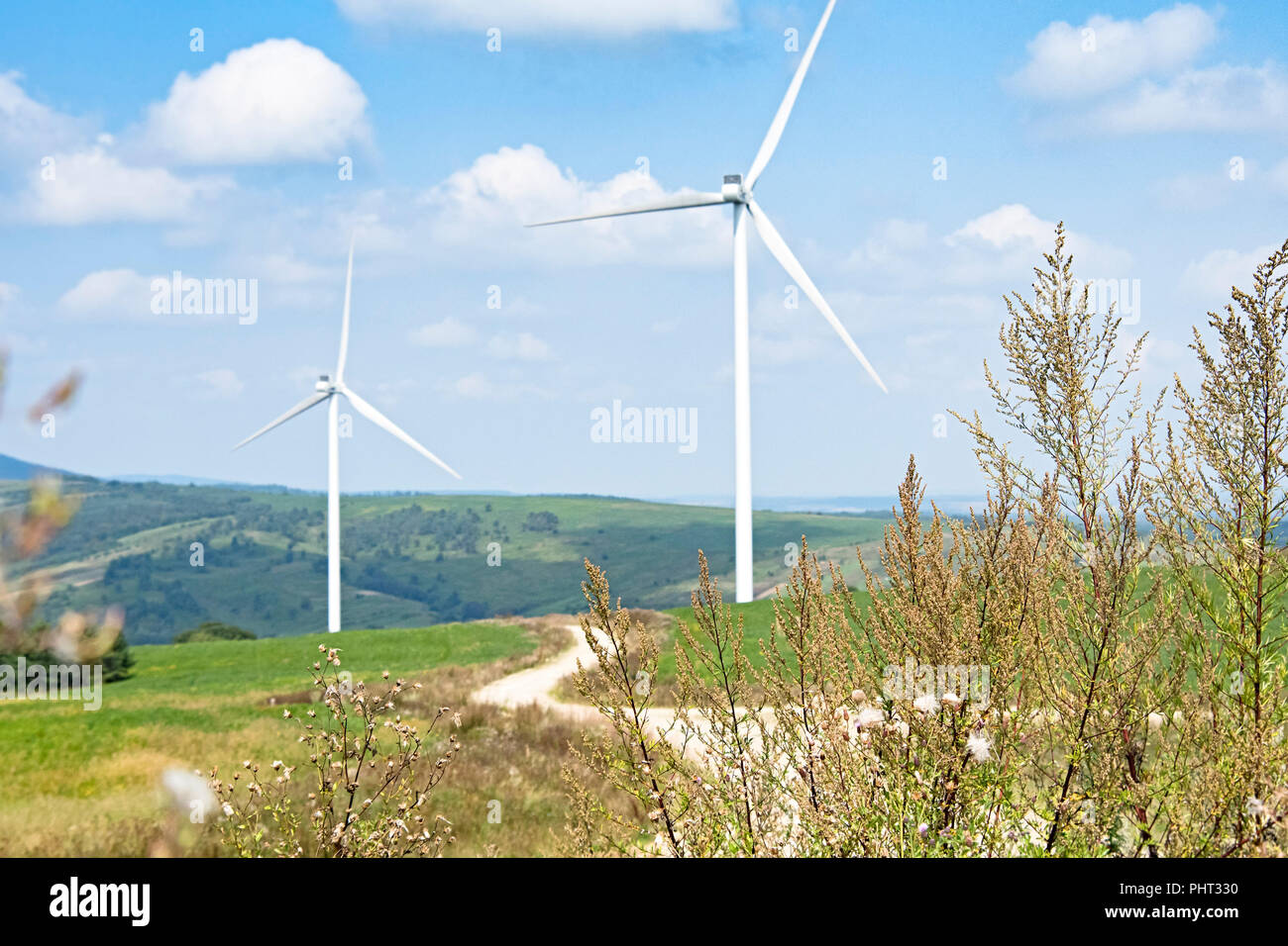 wind turbine farm on the mountain Stock Photo - Alamy