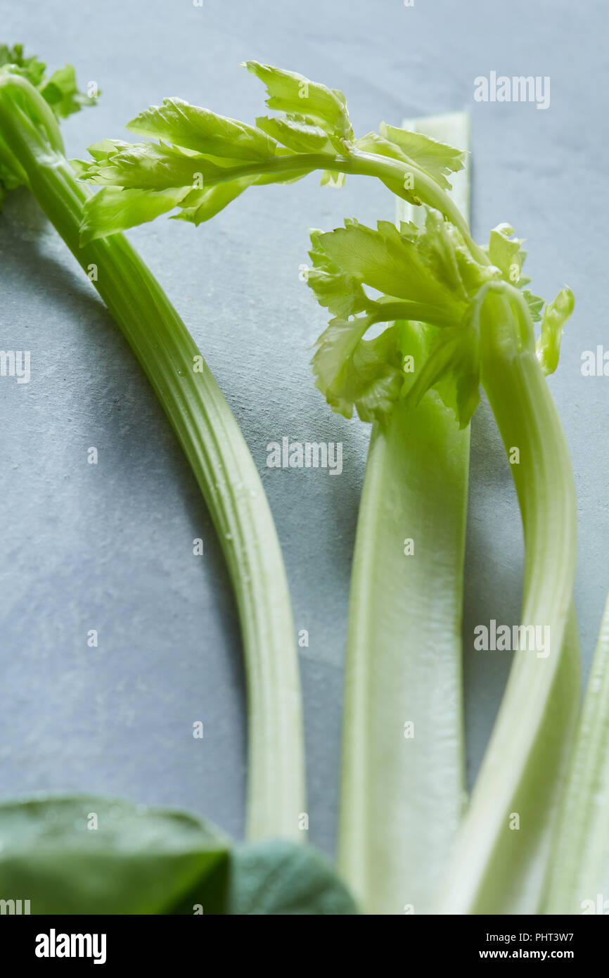 Organic fresh celery on a gray concrete background Stock Photo - Alamy