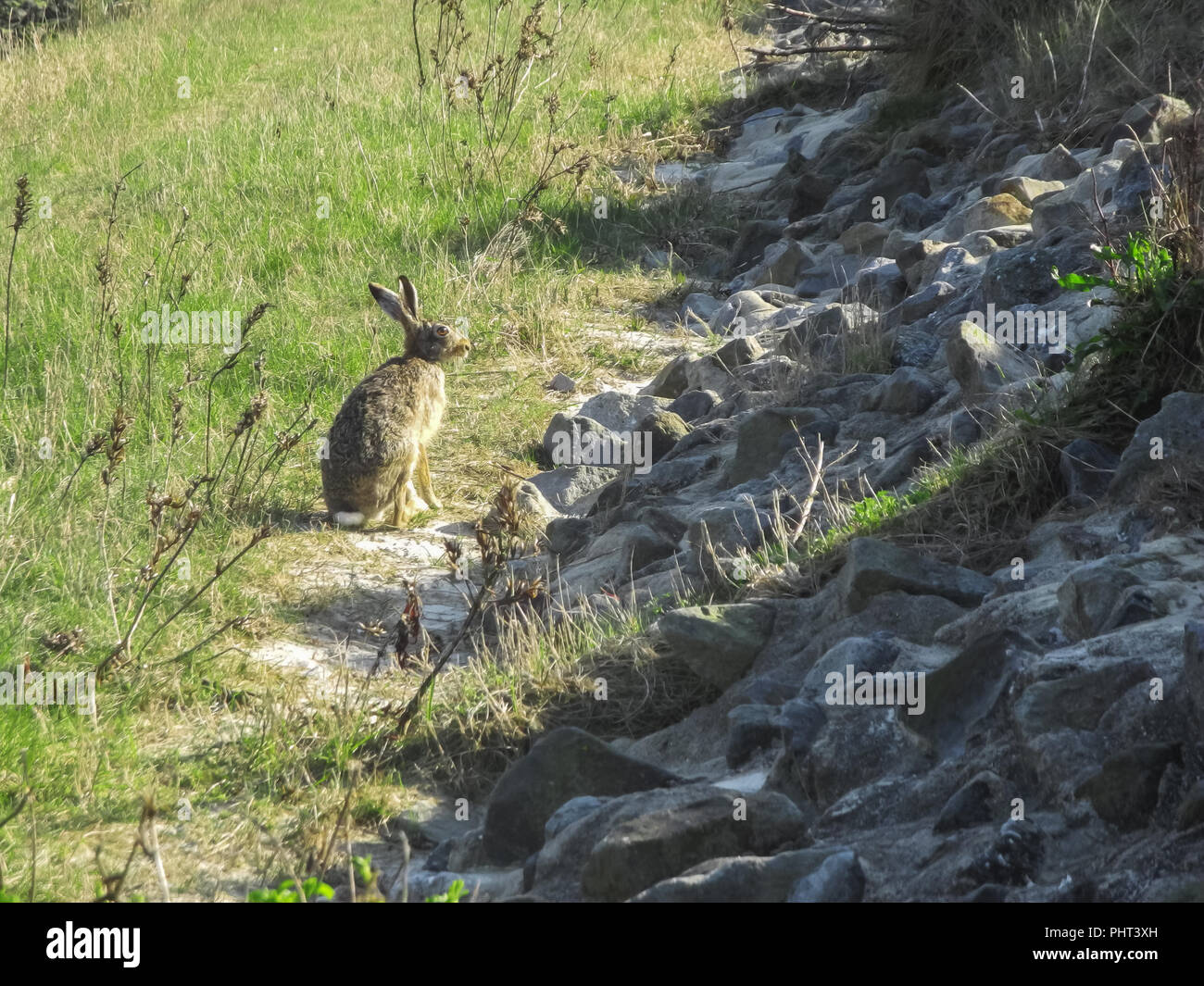 Hare stones hi-res stock photography and images - Alamy