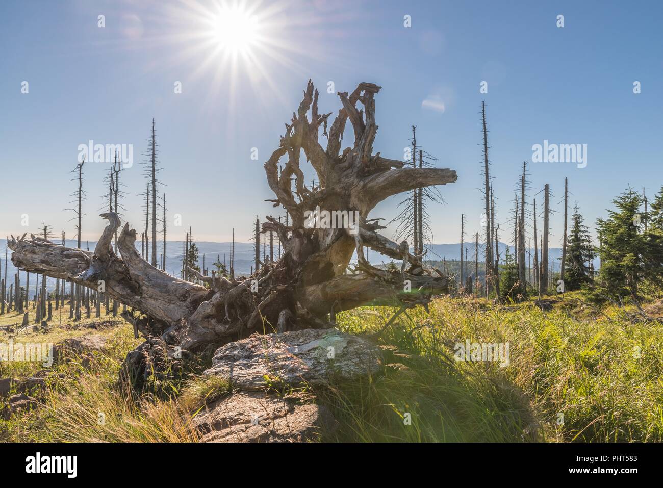 Rachel mountain peak hi-res stock photography and images - Alamy