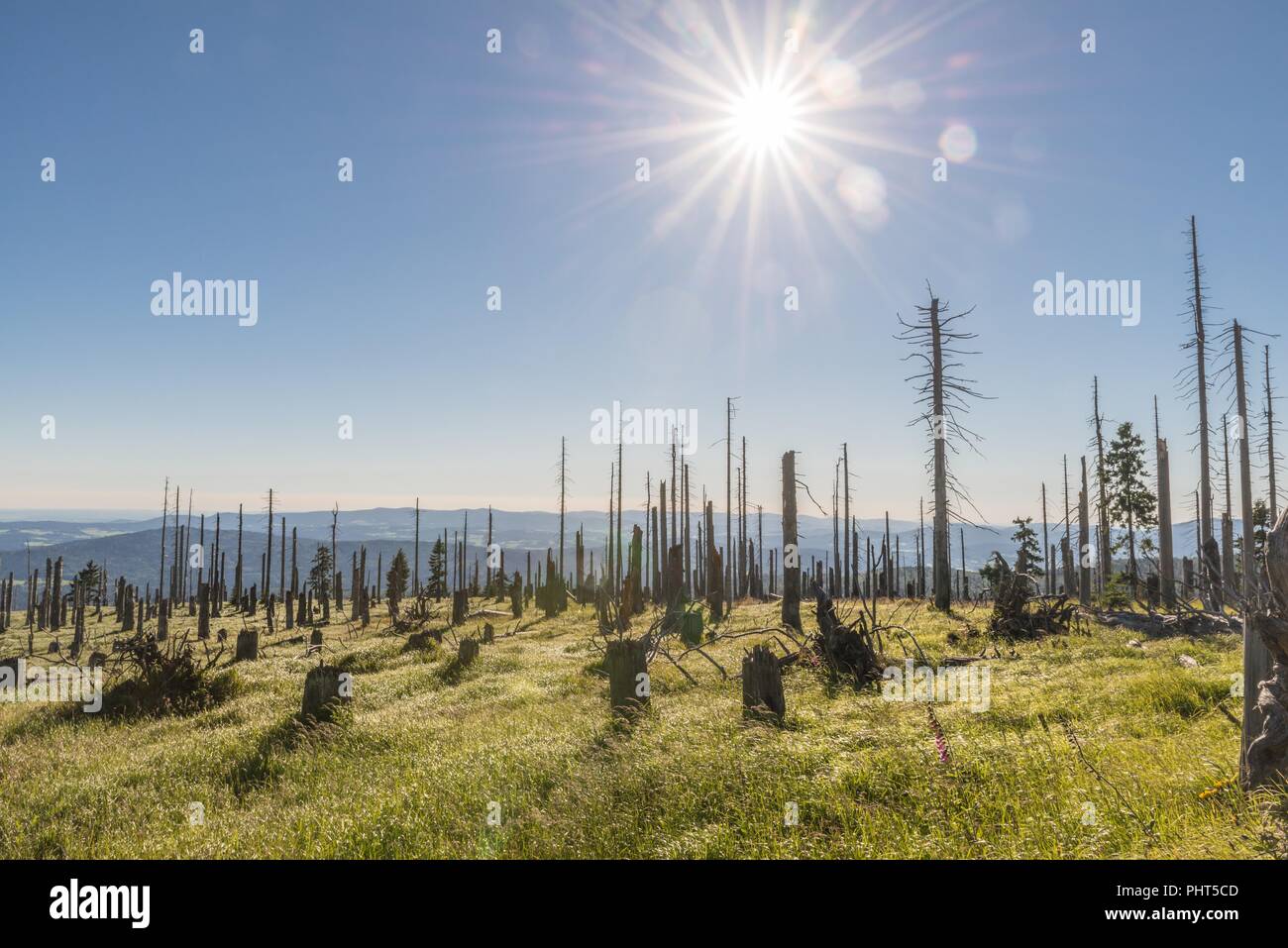 Landscape on the mountain of great Rachel in the Bavarian Forest ...