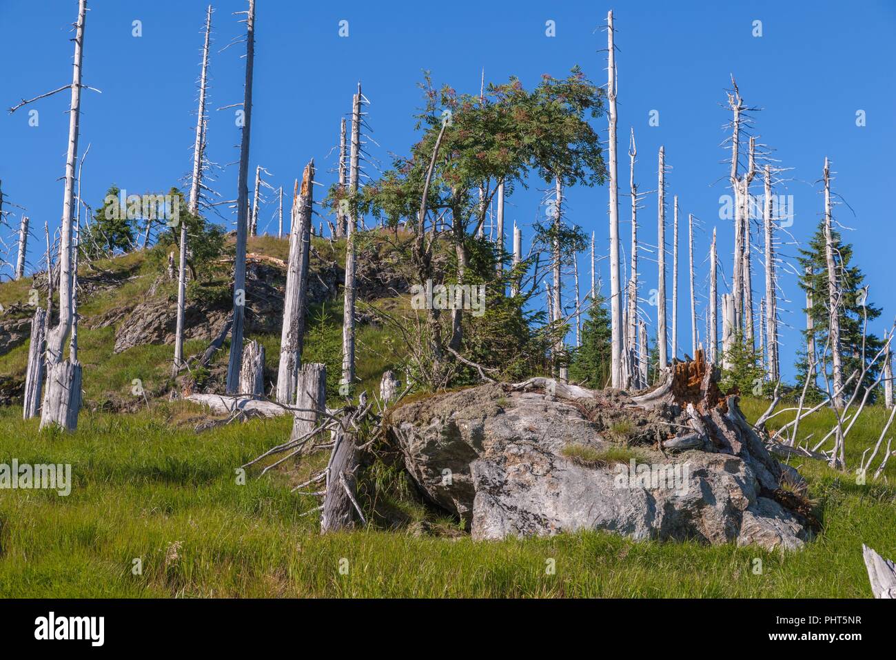 Landscape on the mountain of great Rachel in the Bavarian Forest ...