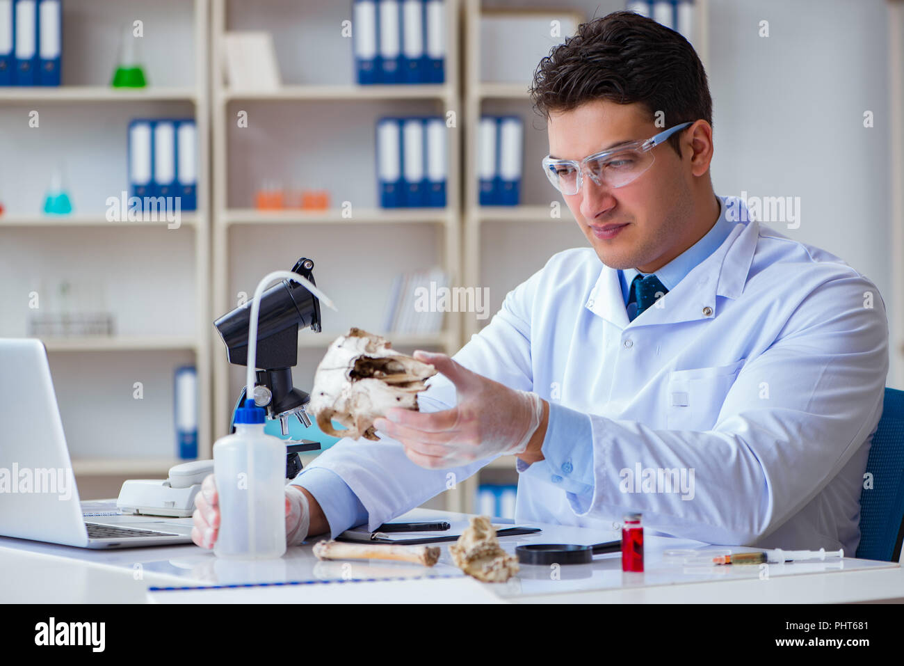 Paleontologist looking at extinct animal bone Stock Photo - Alamy