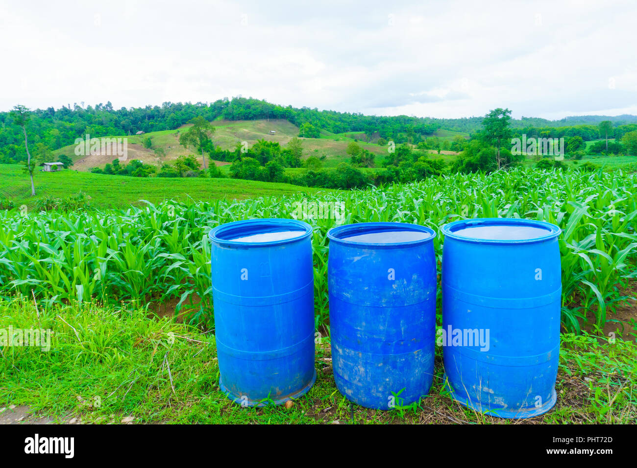 Agricultural chemicals used in corn care Stock Photo - Alamy