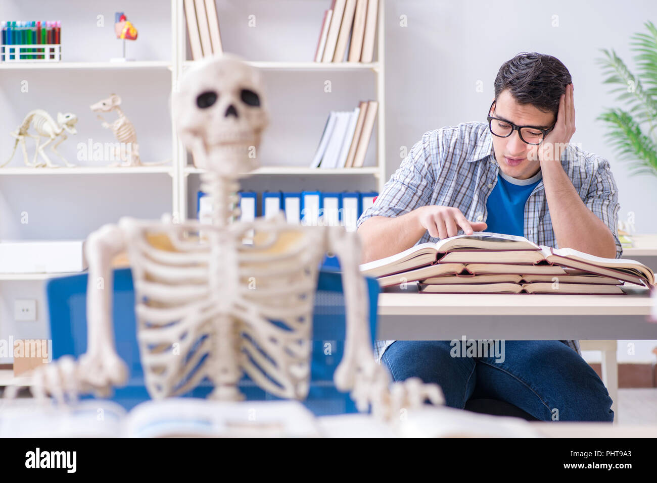Student skeleton listening to lecture in classroom Stock Photo - Alamy