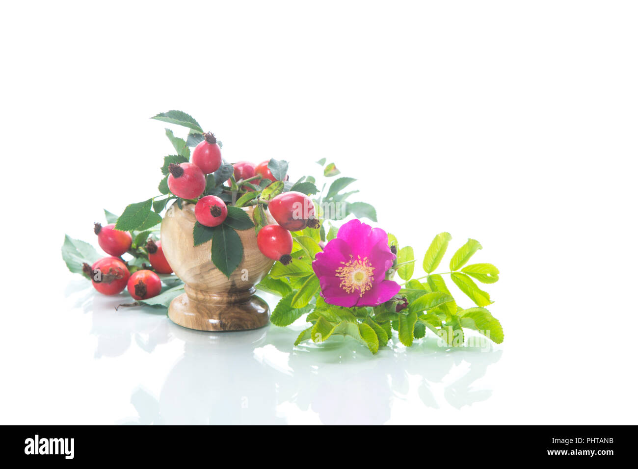Brier branch Cut Out Stock Images & Pictures - Alamy