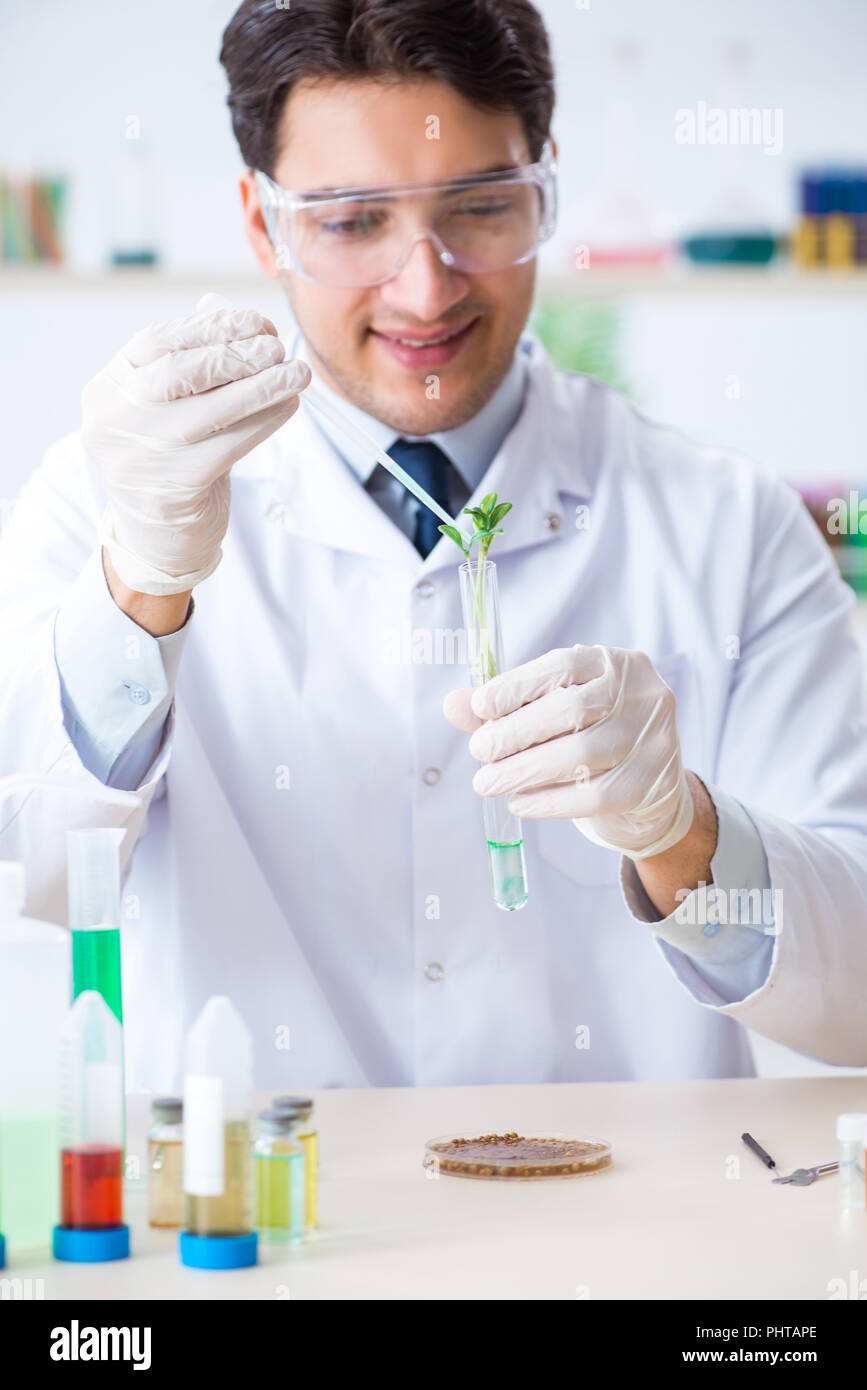 Male biochemist working in the lab on plants Stock Photo - Alamy