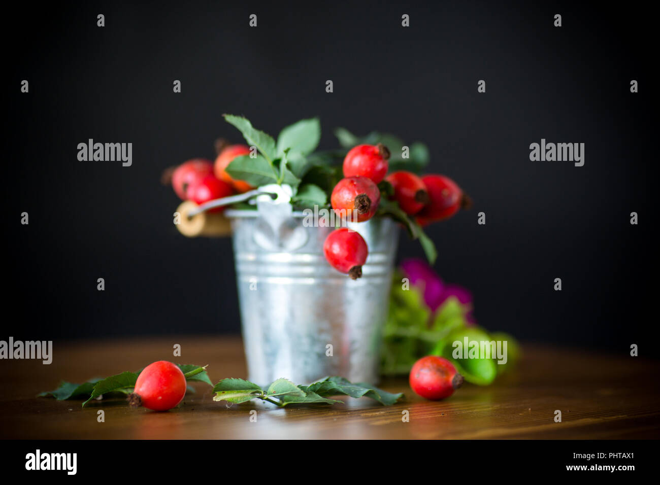 Ripe red briar berries on a branch Stock Photo - Alamy