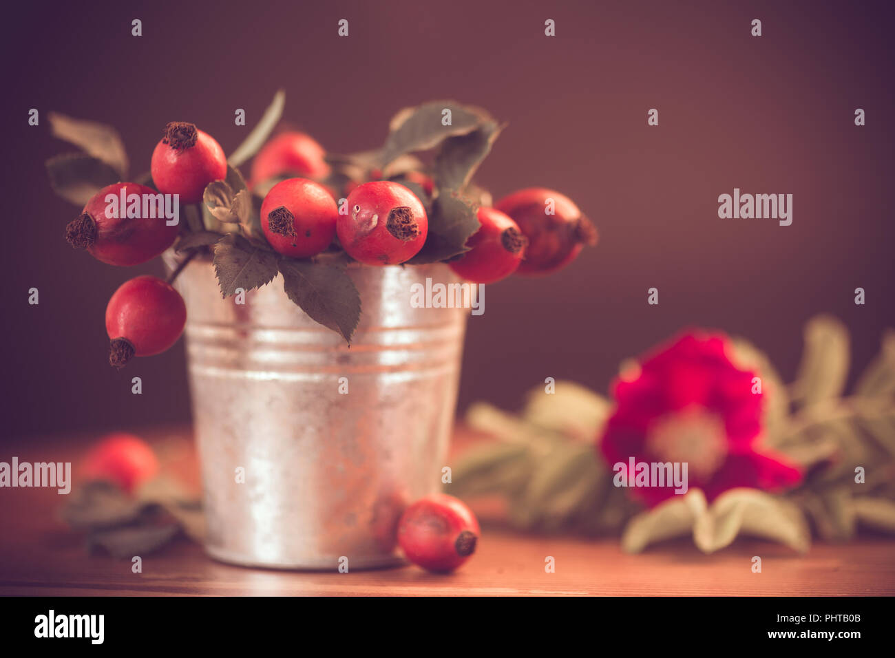 Ripe briar berries hi-res stock photography and images - Alamy