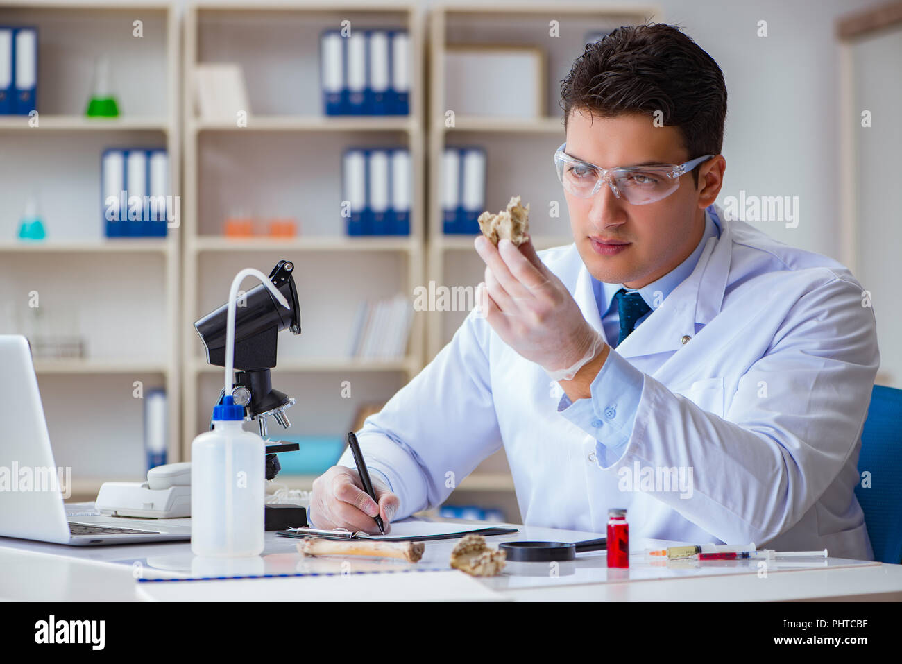 Paleontologist looking at extinct animal bone Stock Photo - Alamy