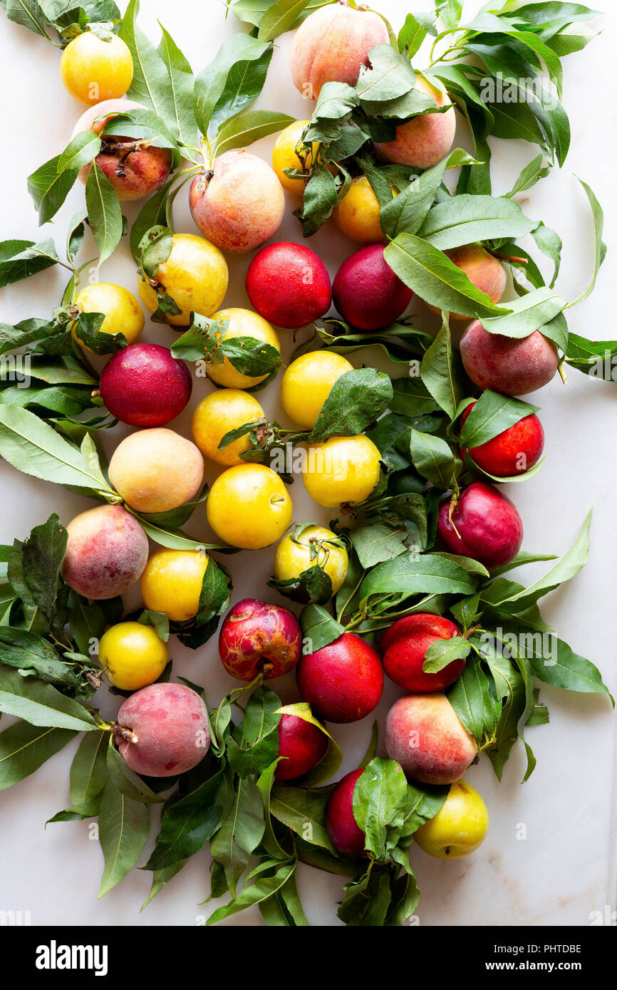 Farm peaches hi-res stock photography and images - Alamy