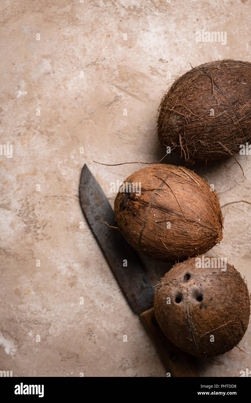 Fresh Coconut Stock Photo - Alamy Fresh Coconut Stock Photo - Alamy