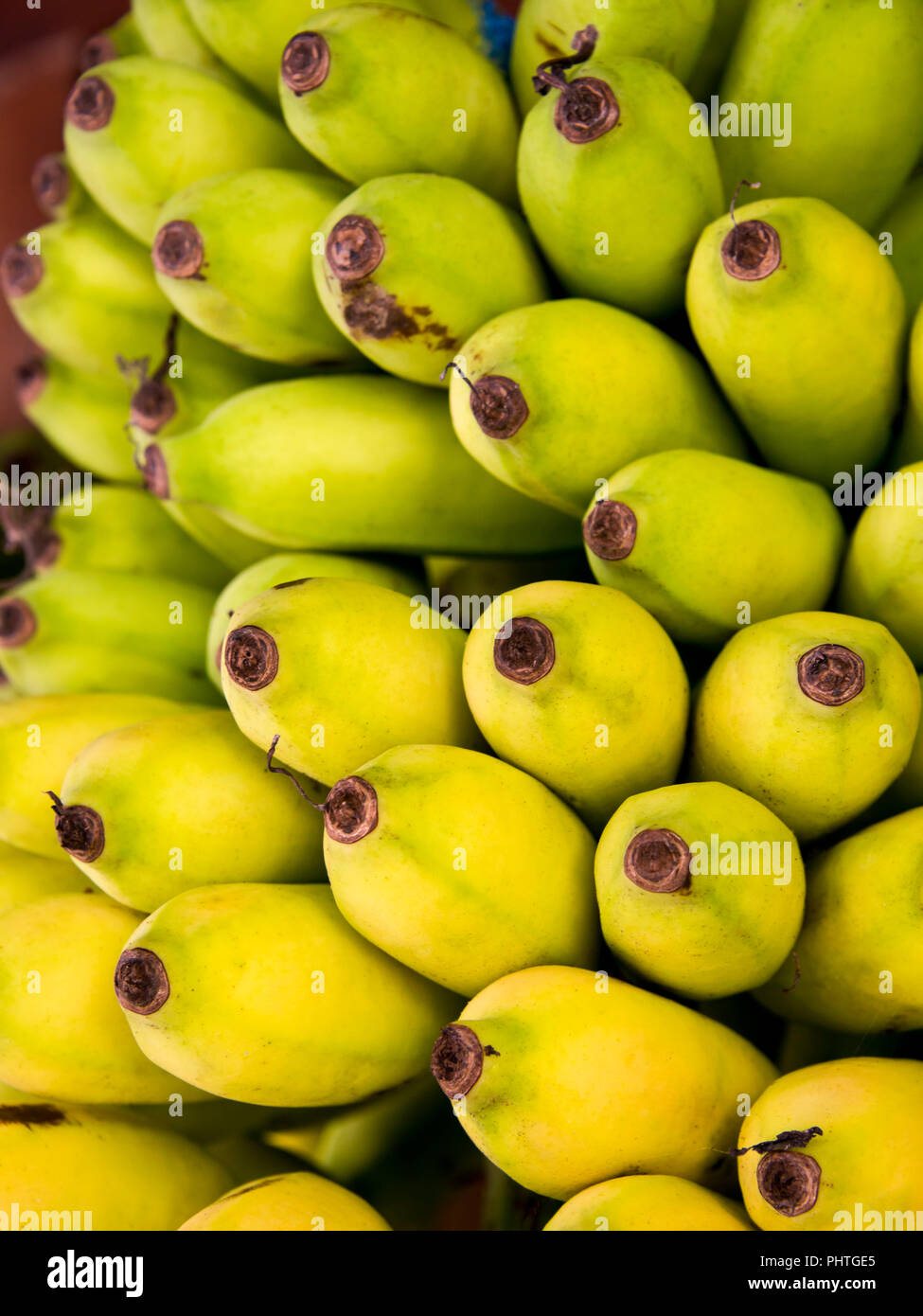Vertical close up of bananas in Sri Lanka Stock Photo - Alamy