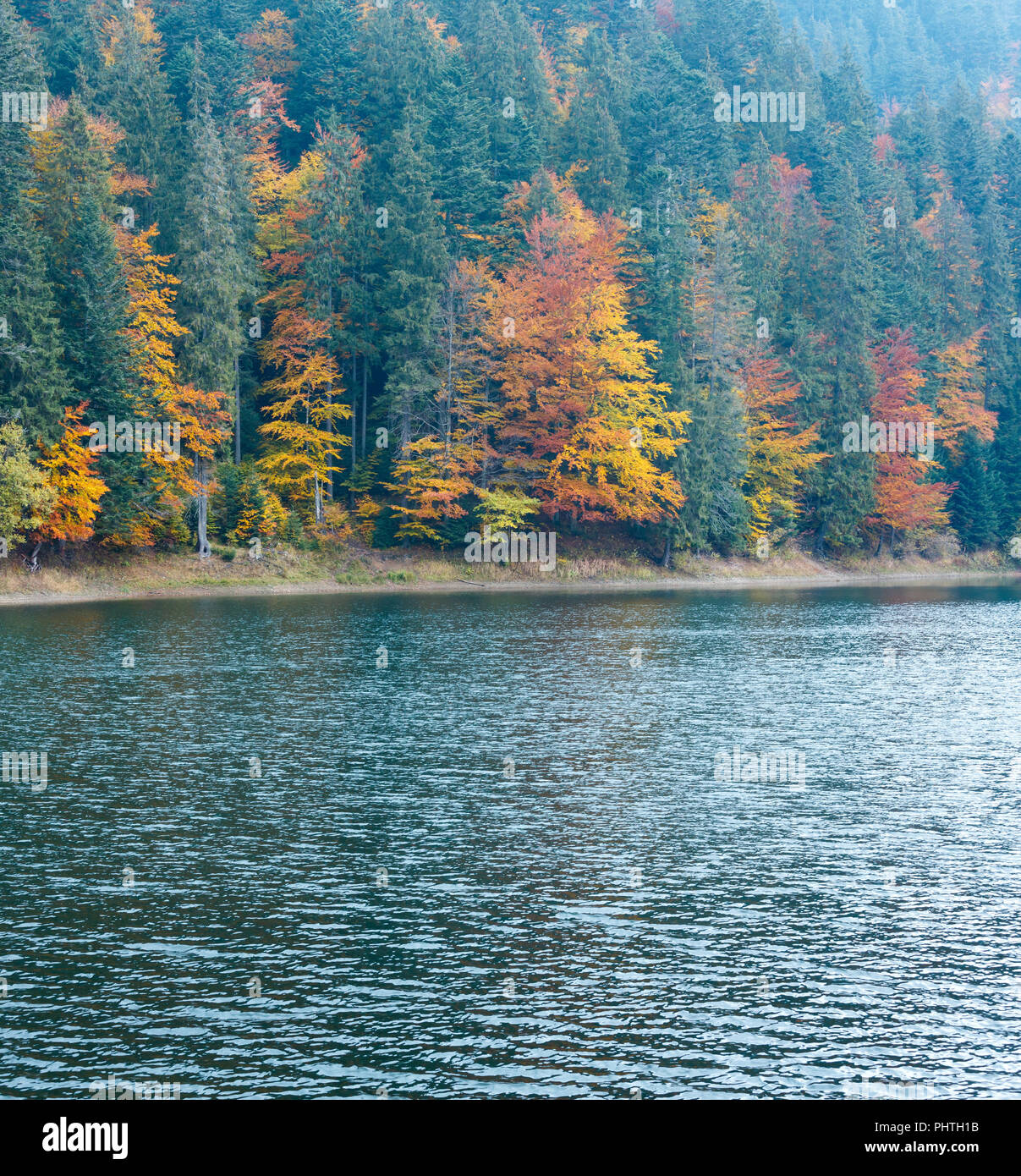 Synevyr national nature park hi-res stock photography and images - Alamy