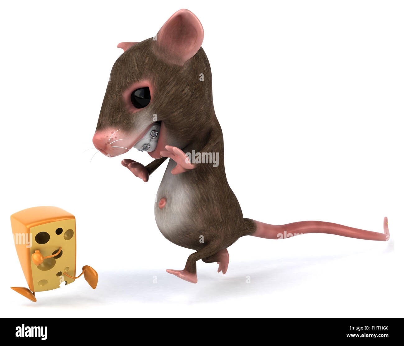 Gerbil teeth hi-res stock photography and images - Alamy