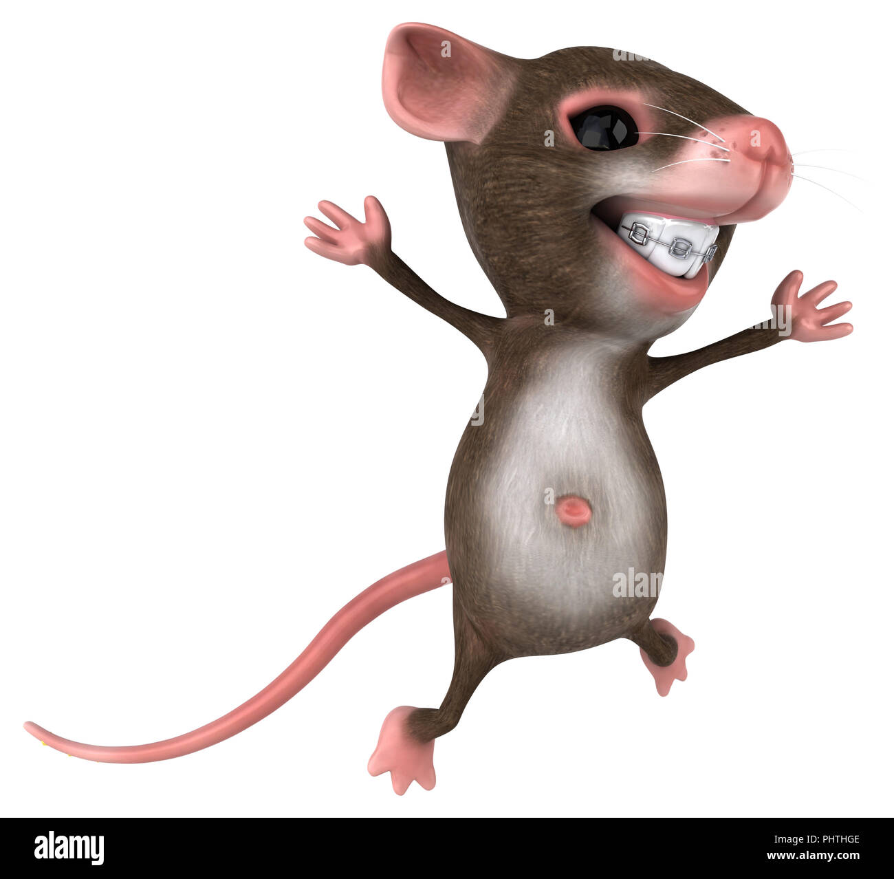 Animal molar Cut Out Stock Images & Pictures - Alamy