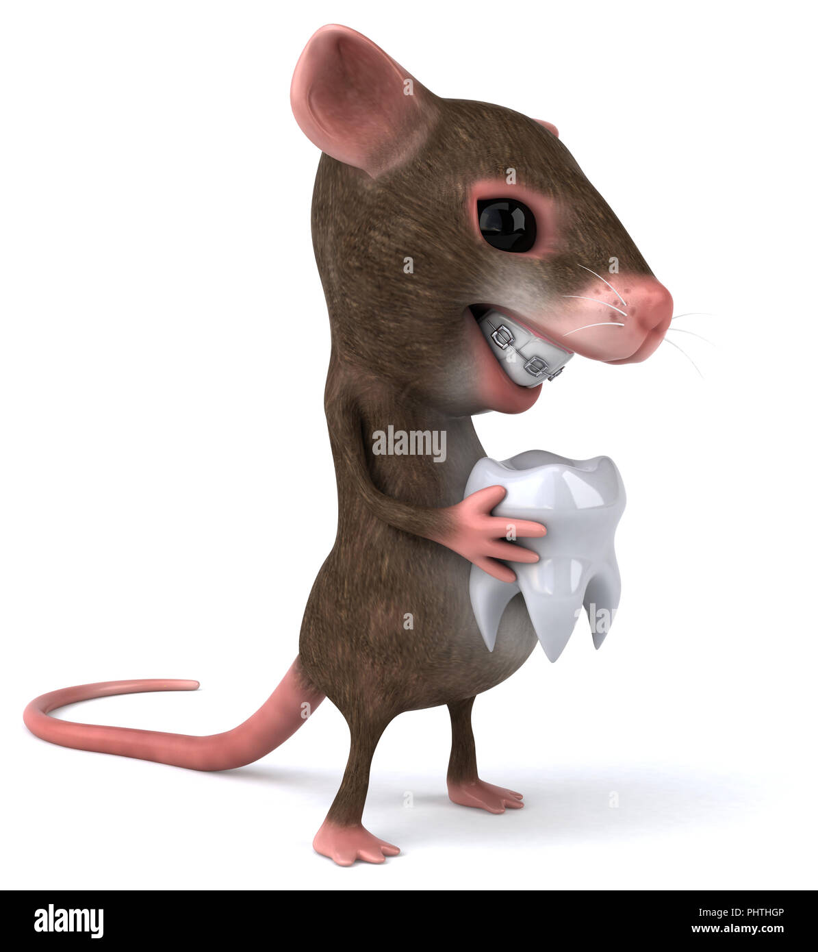 Gerbil teeth hi-res stock photography and images - Alamy