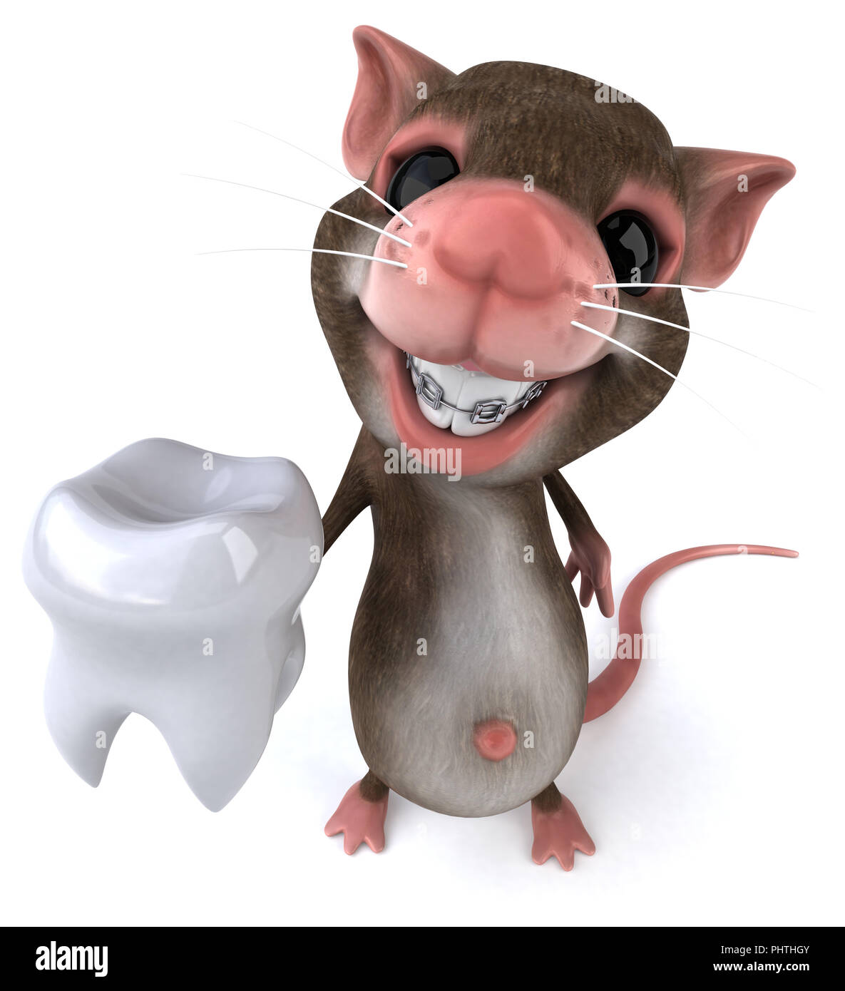 Gerbil teeth hi-res stock photography and images - Alamy