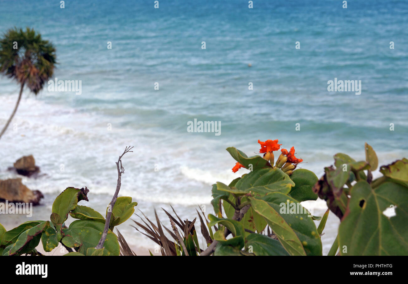 Mexico culture beautiful hi-res stock photography and images - Alamy
