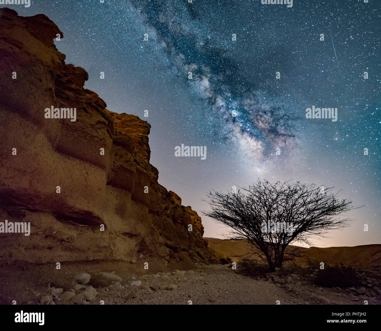 Tree night sky hi-res stock photography and images - Alamy