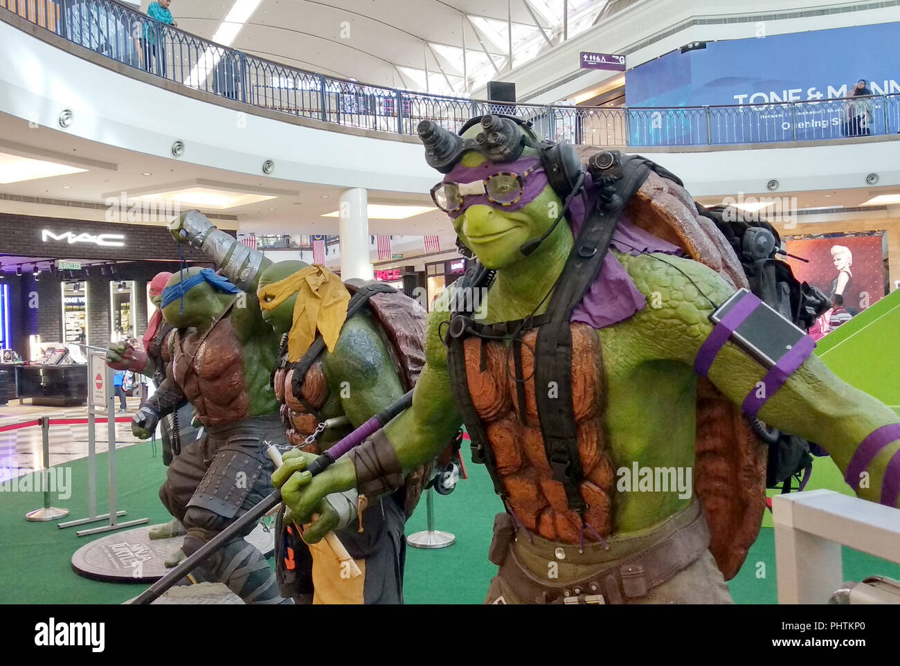 Teenage Mutant Ninja Turtles Cartoon High Resolution Stock Photography ...