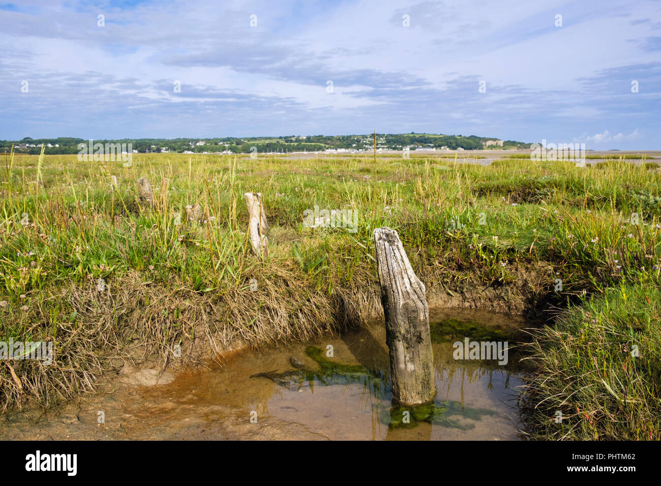 Wetland and coastal habitats hi-res stock photography and images - Alamy