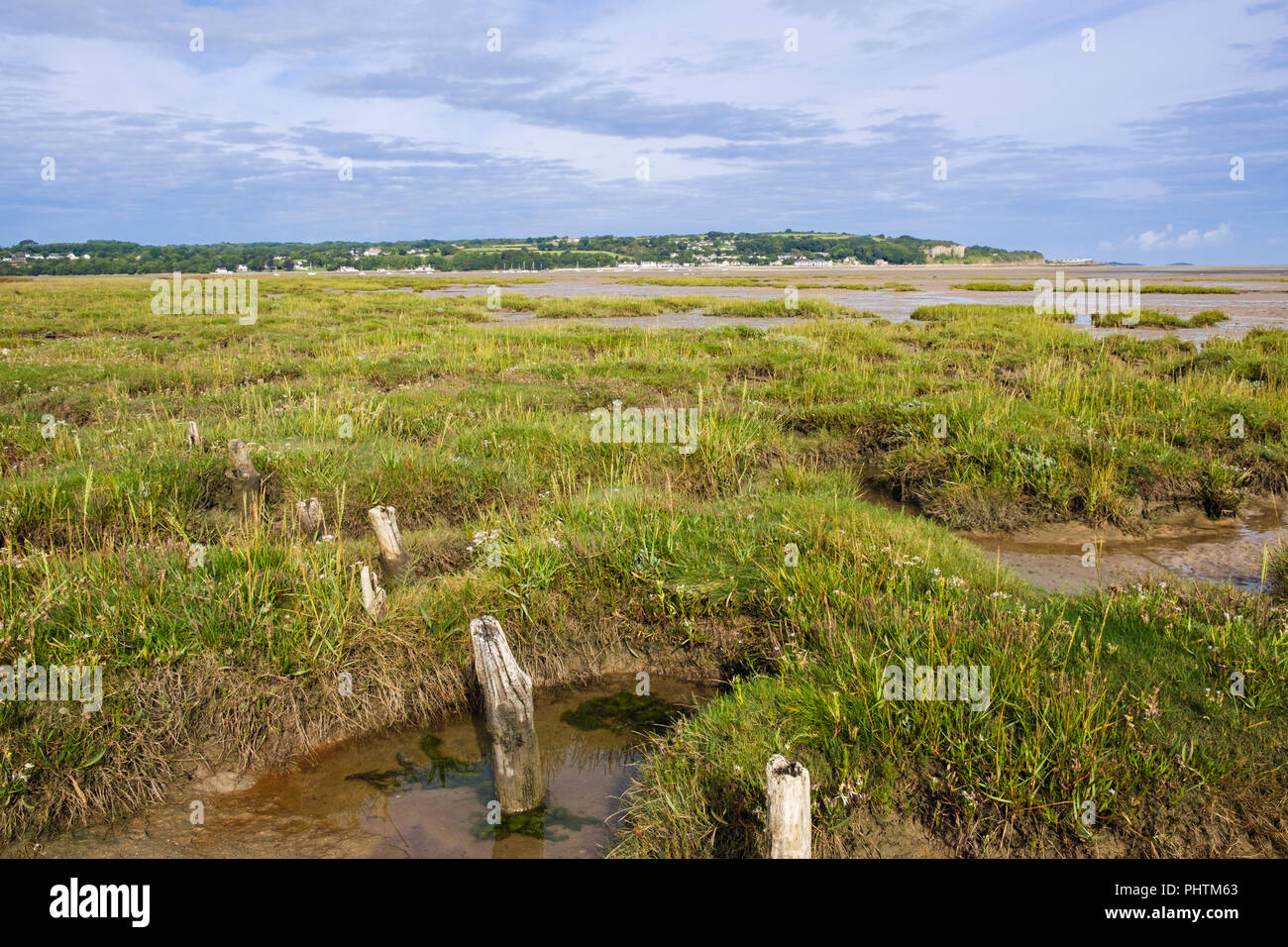 Coastal wetland saltmarsh bog at low tide in Red Wharf Bay (Traeth Coch ...
