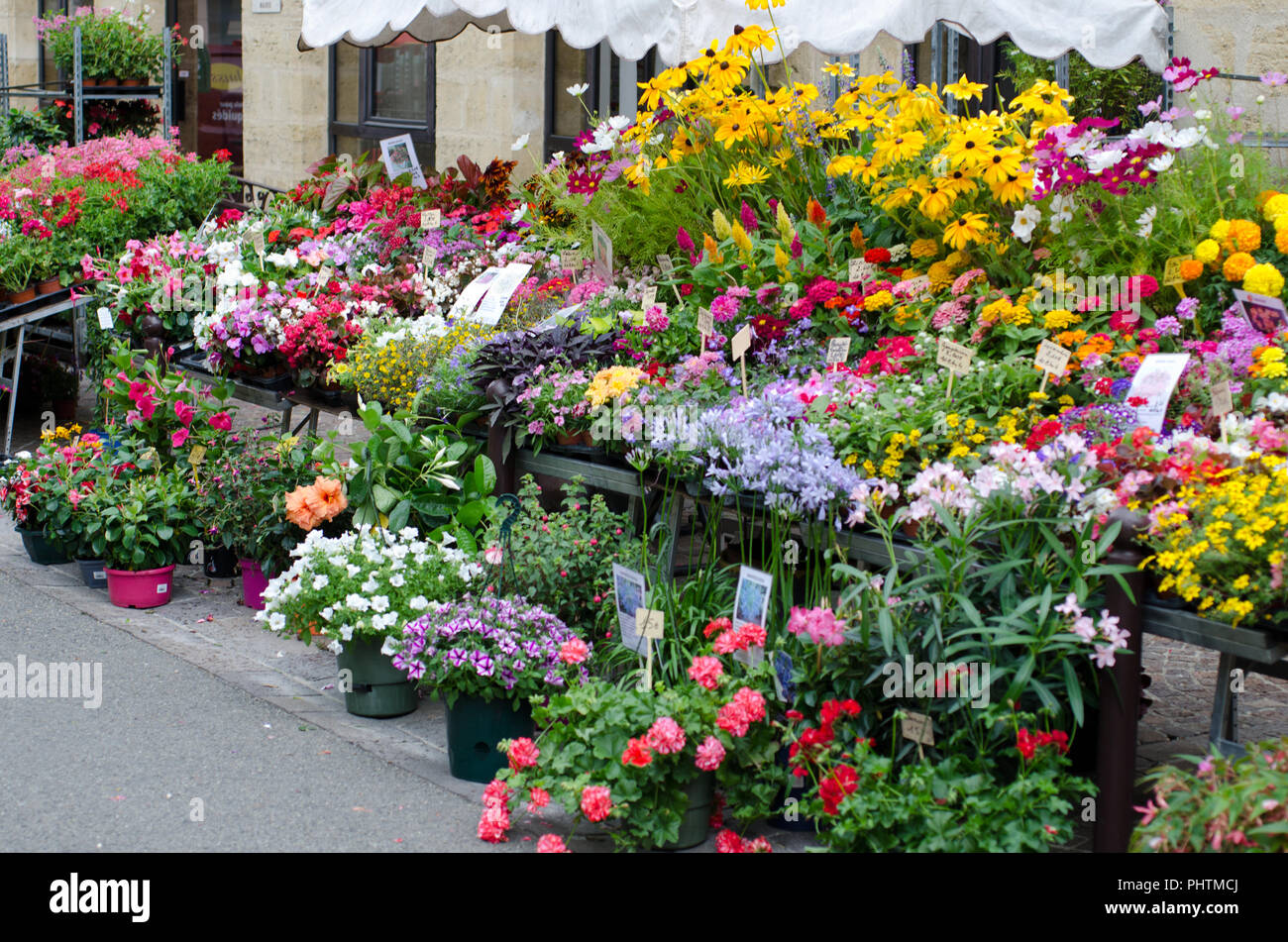 Flower stall in a French Market Stock Photo - Alamy