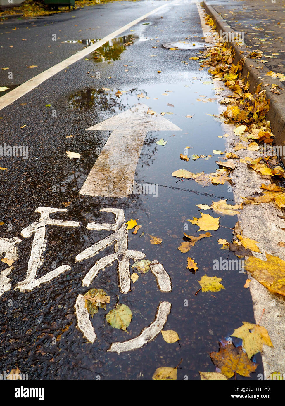 Asphalt road with cycle track and bike sign Stock Photo - Alamy