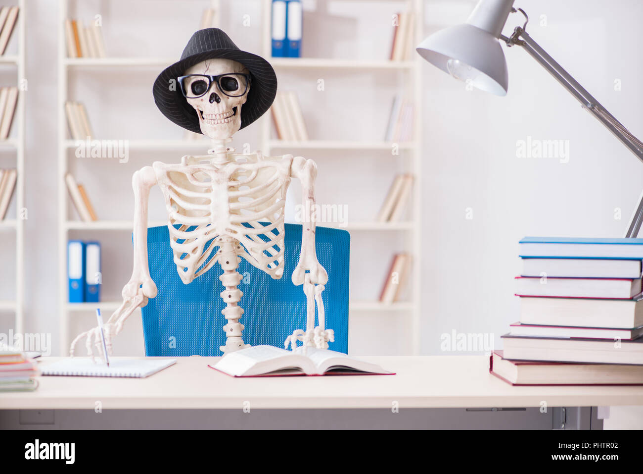 Student skeleton preparing for exams Stock Photo - Alamy