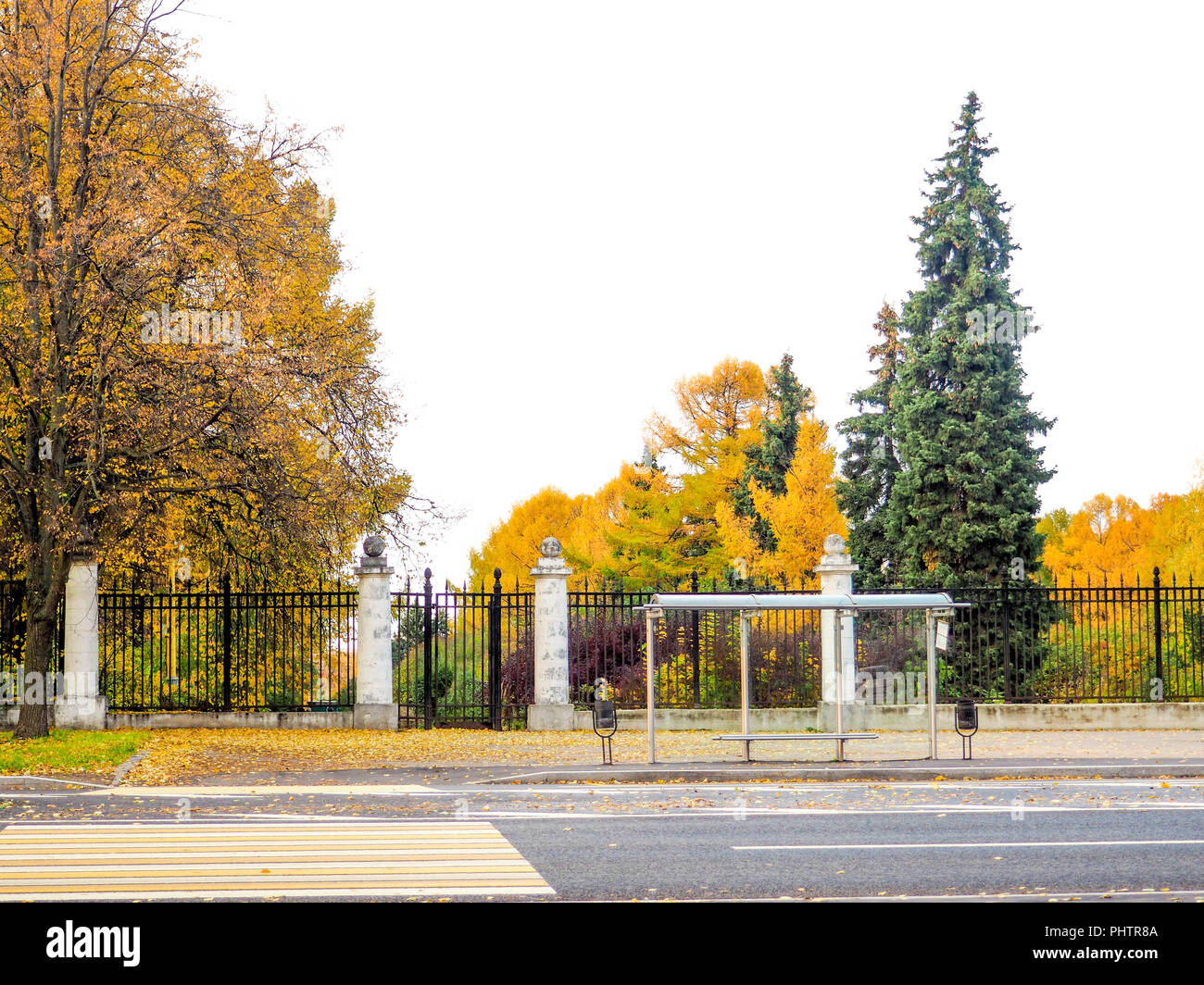 urban Moscow landscape Moscow city panorama. Autumn trees Stock Photo ...