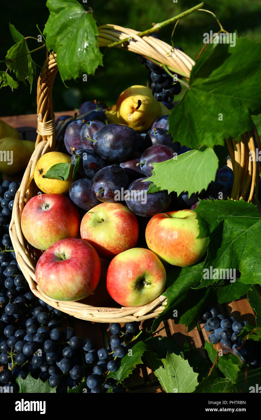 Food: Summer fruit basket Stock Photo - Alamy