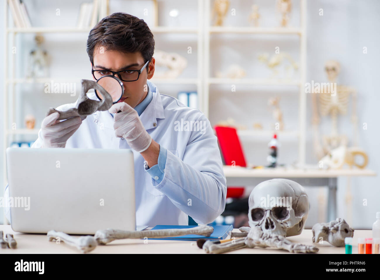 Professor studying human skeleton in lab Stock Photo - Alamy