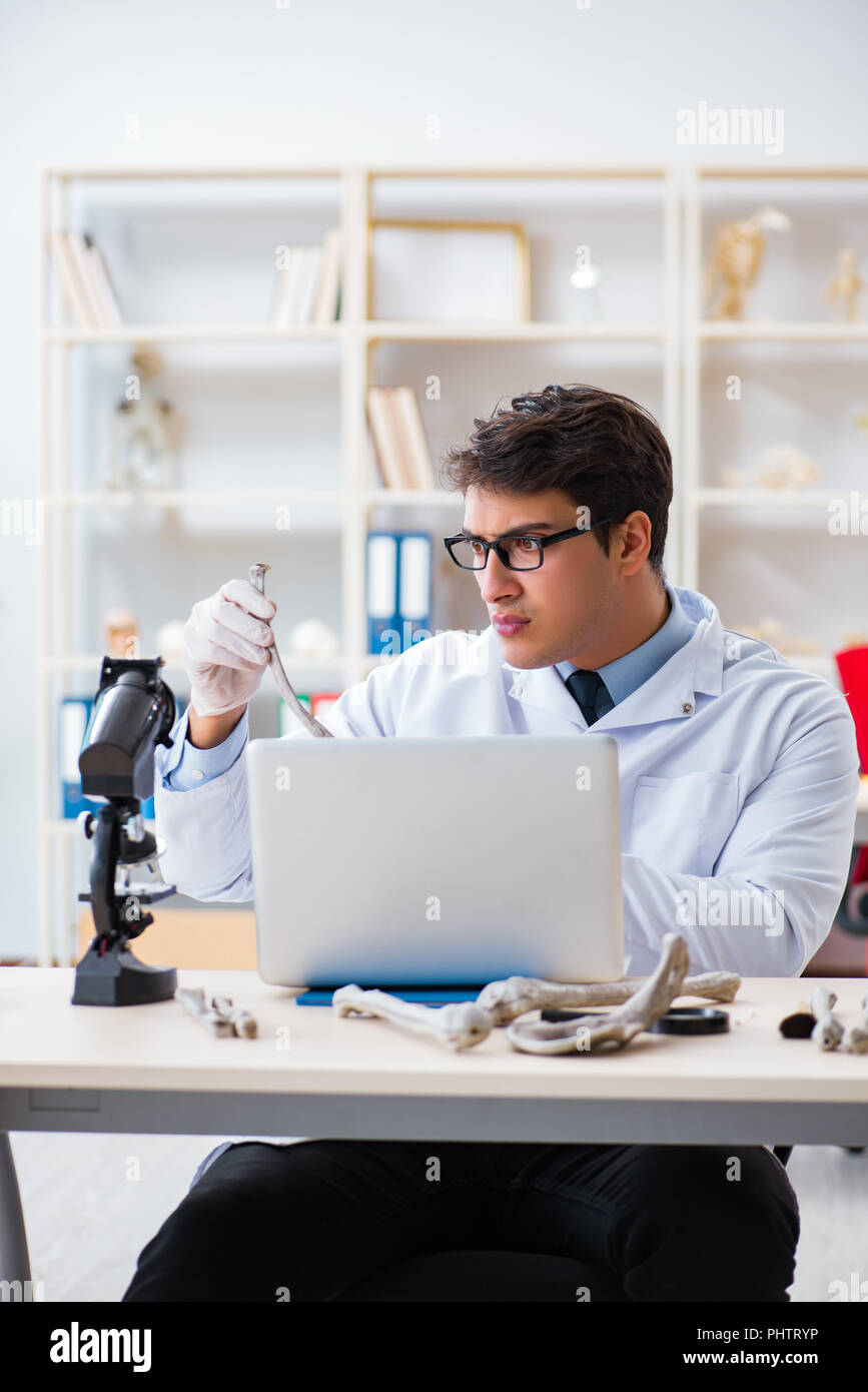 Professor studying human skeleton in lab Stock Photo - Alamy