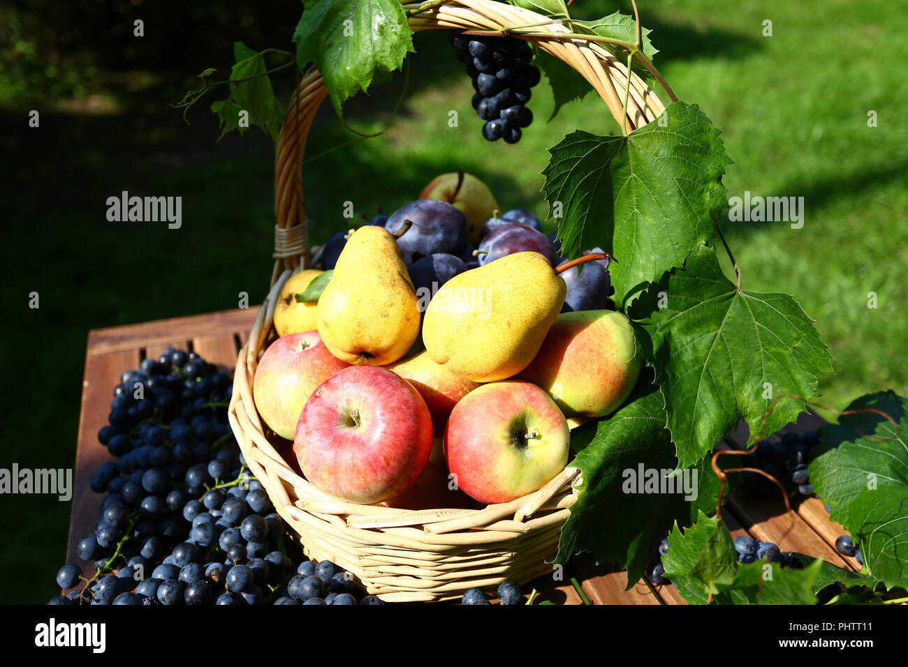 Food: Summer fruit basket Stock Photo - Alamy