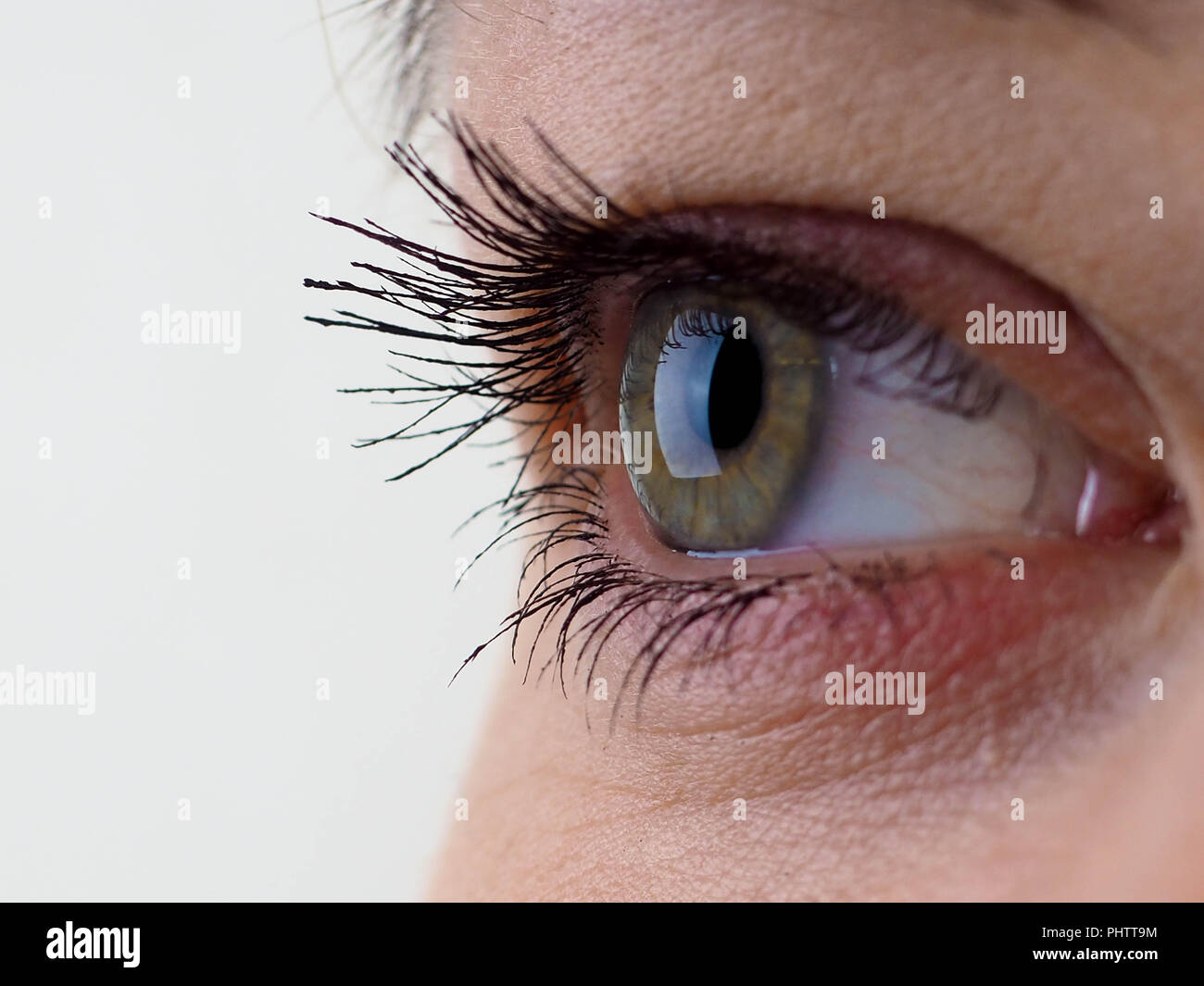 Close-up of eye, the human eye sideways Stock Photo - Alamy
