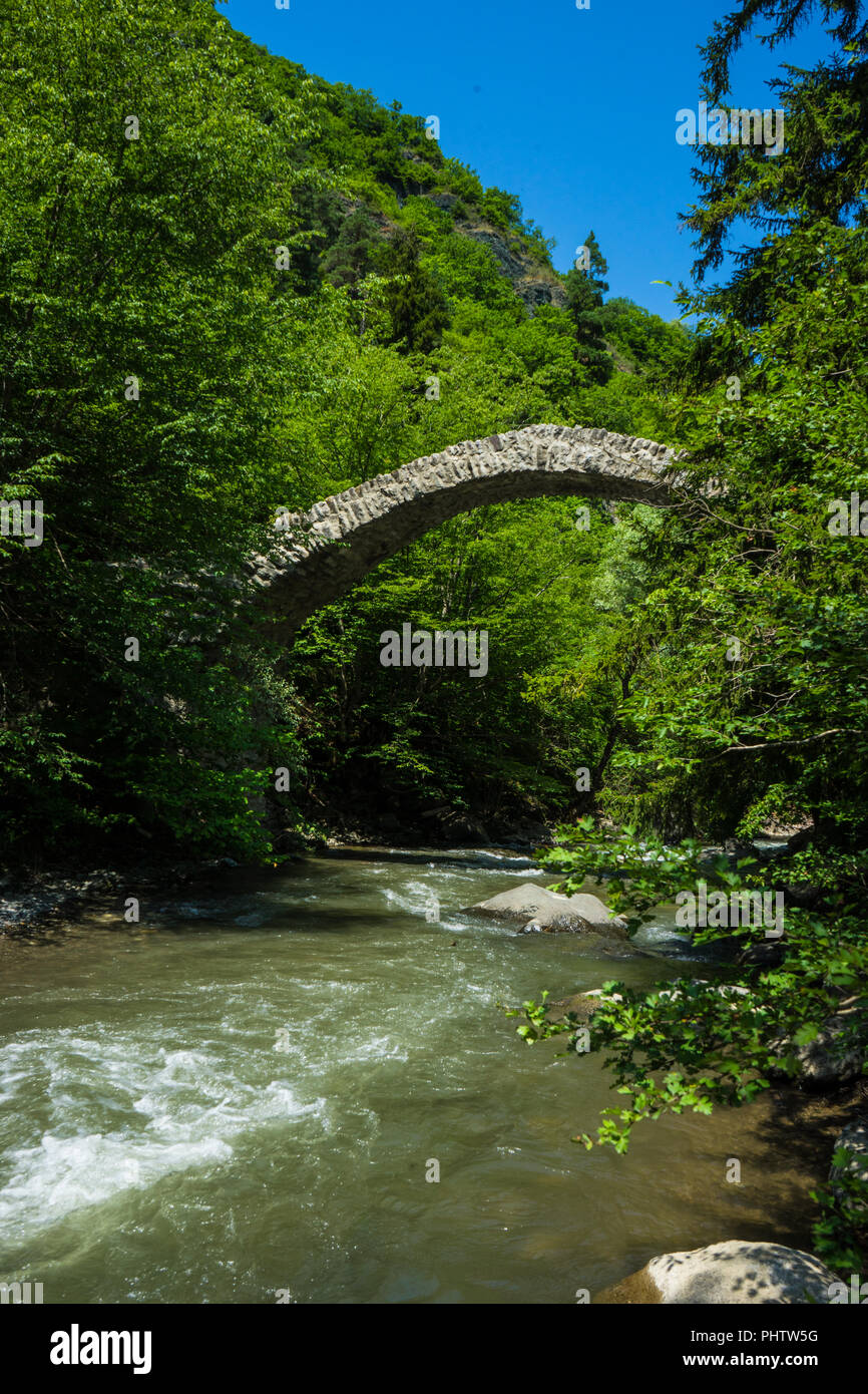 Famous georgian architectural landmark medieval stone bridge Tamar ...