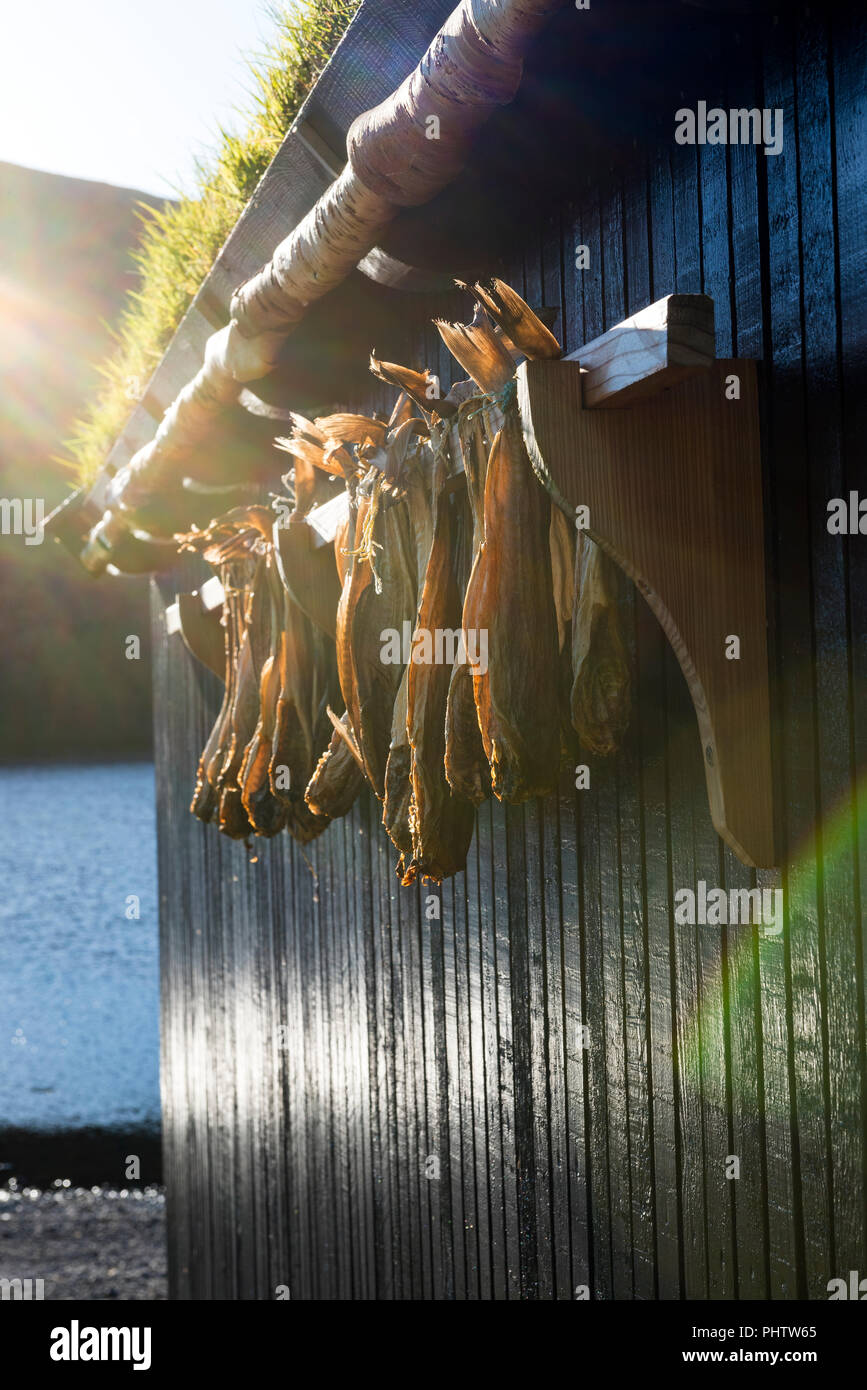 Leynavatn - Ræstur fiskur Stock Photo - Alamy