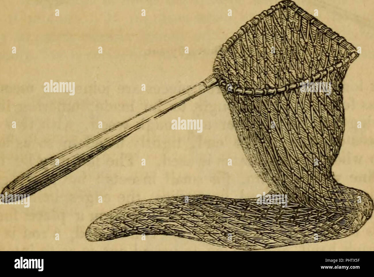 "Insect architecture : to which are added, miscellanies, on the ravages ...