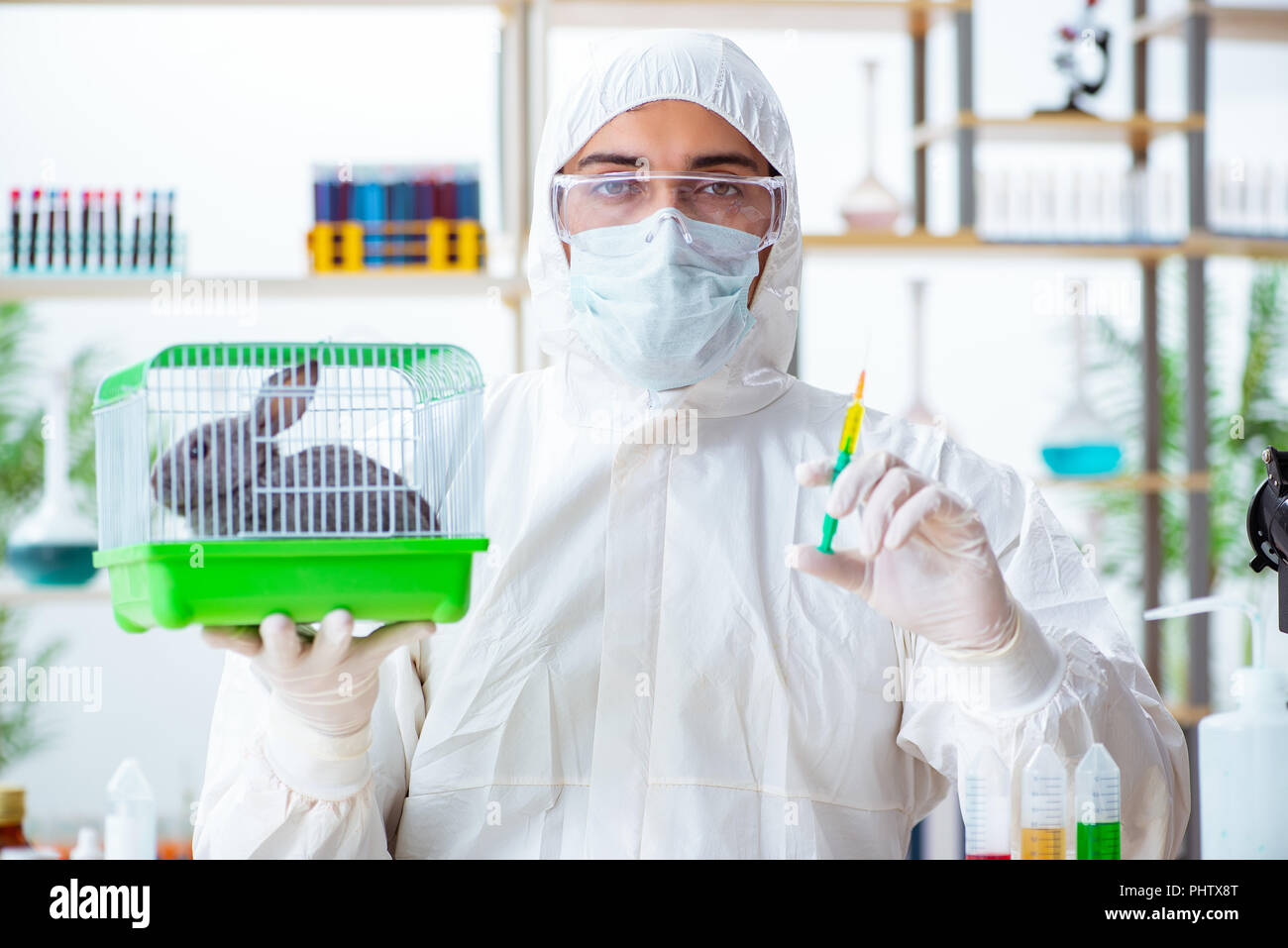 Scientist experimenting on animals hi-res stock photography and images ...