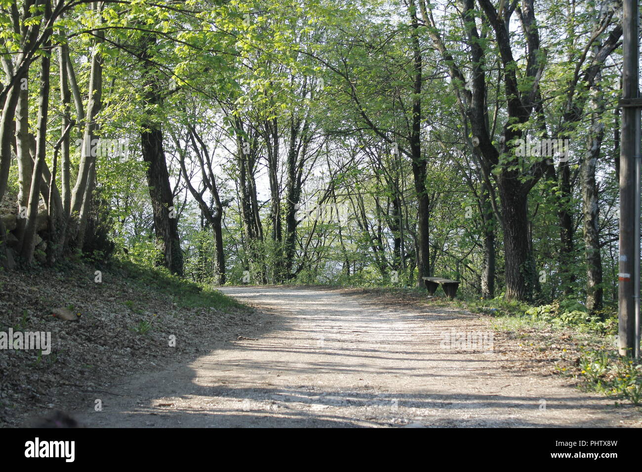 mountain path in the woods mountain path in the woods Stock Photo - Alamy