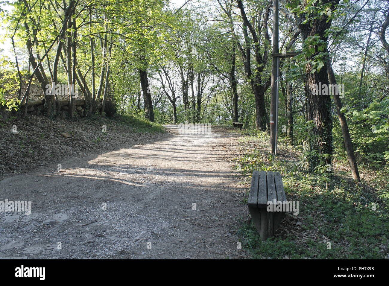 mountain path in the woods mountain path in the woods Stock Photo - Alamy
