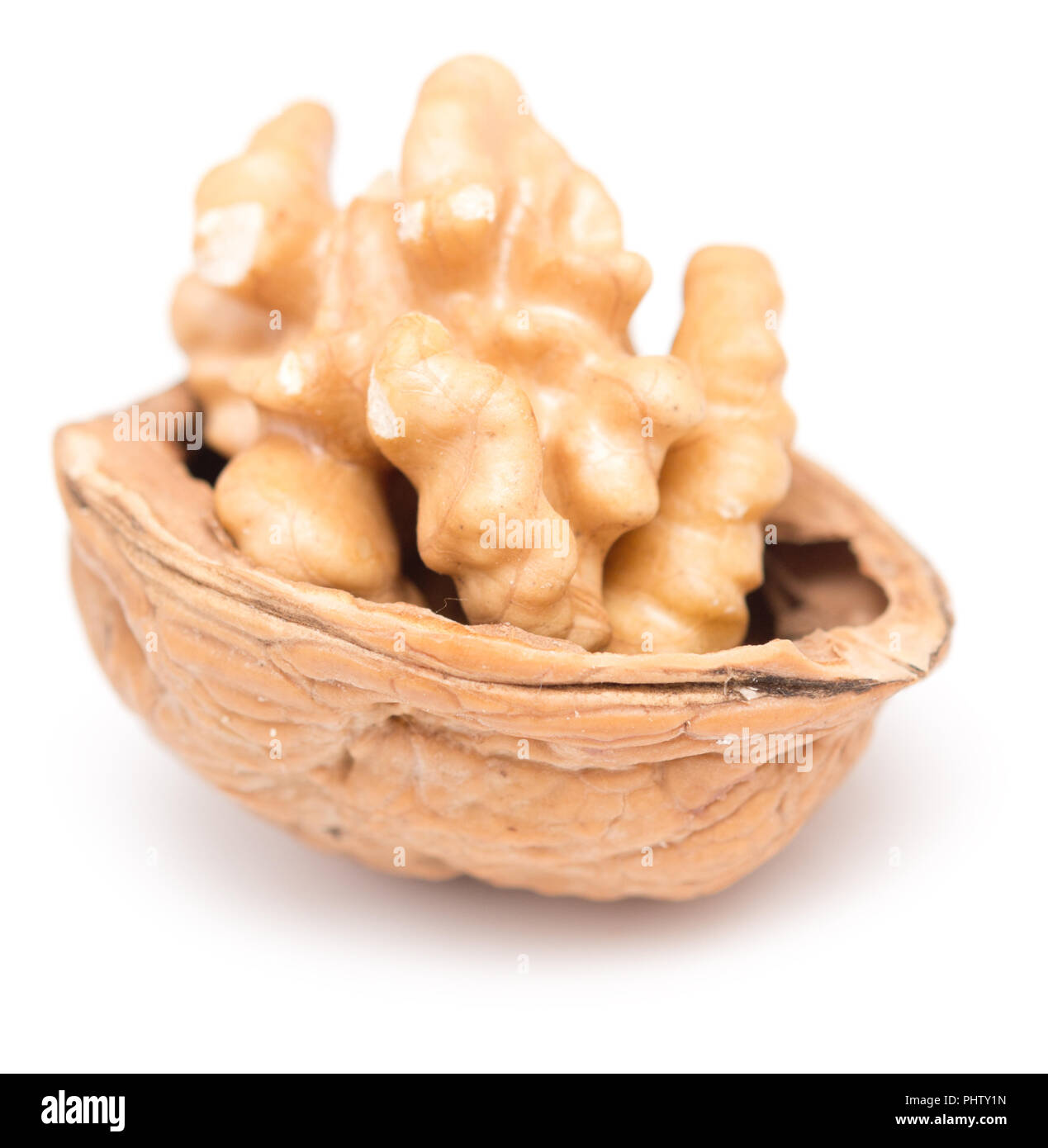 Nutt Cut Out Stock Images & Pictures - Alamy