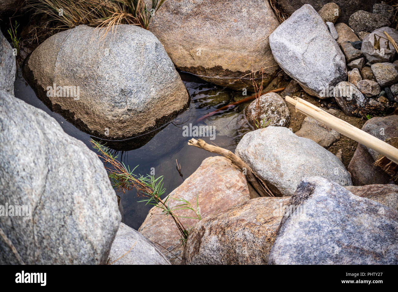 Desert road in joshua hi-res stock photography and images - Alamy