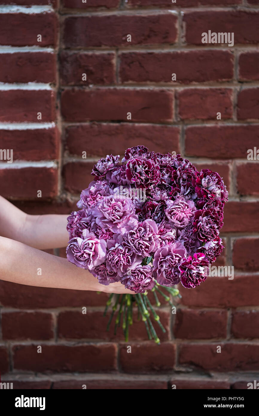 Beautiful two color roses Stock Photo - Alamy