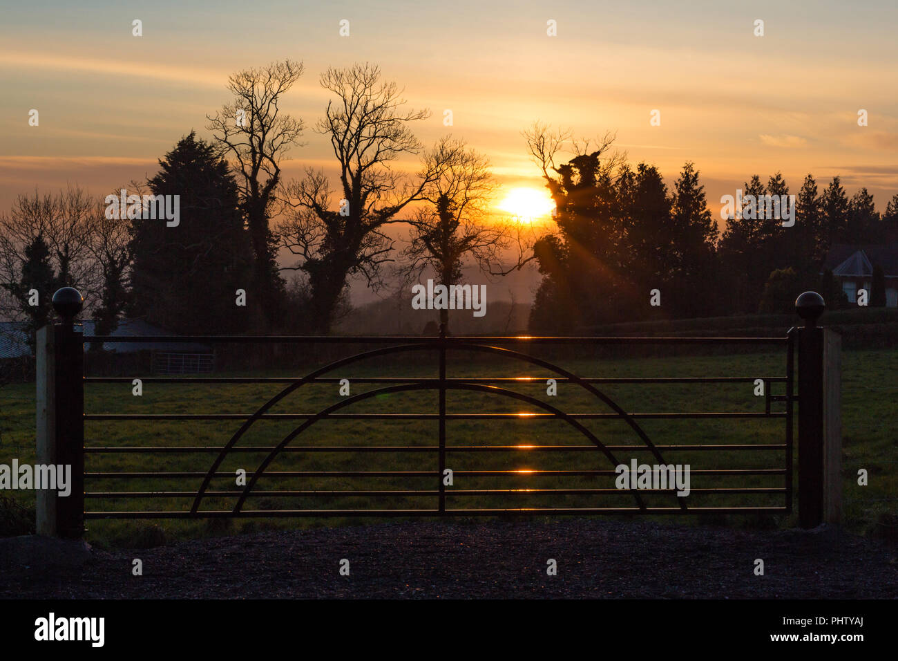 Setting sun beaming light through trees onto farm wrought iron gate ...