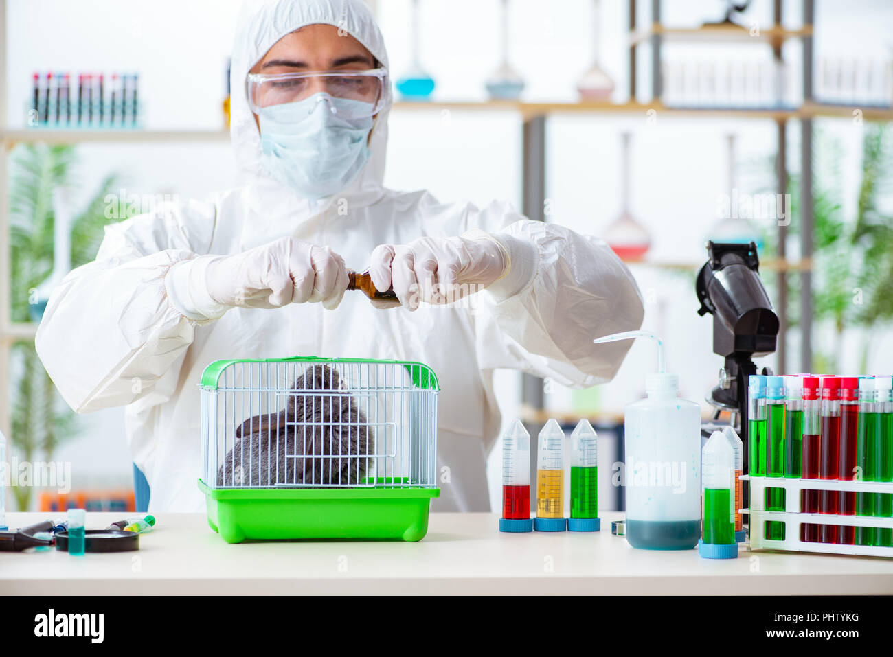 Scientist experimenting on animals hi-res stock photography and images ...