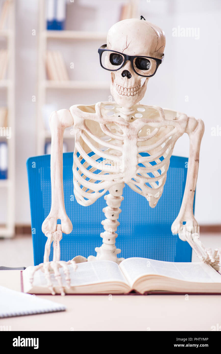 Student skeleton preparing for exams Stock Photo - Alamy